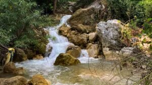 Waterfalls in Rishikesh | 12 Best Waterfalls Near Rishikesh